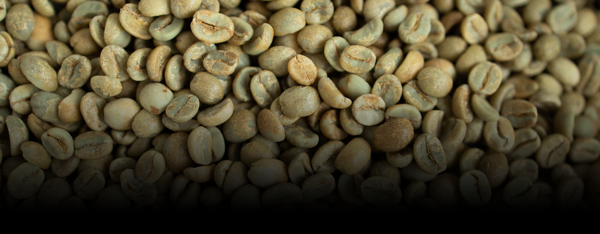 RoastSee AquaDense - LeBrew